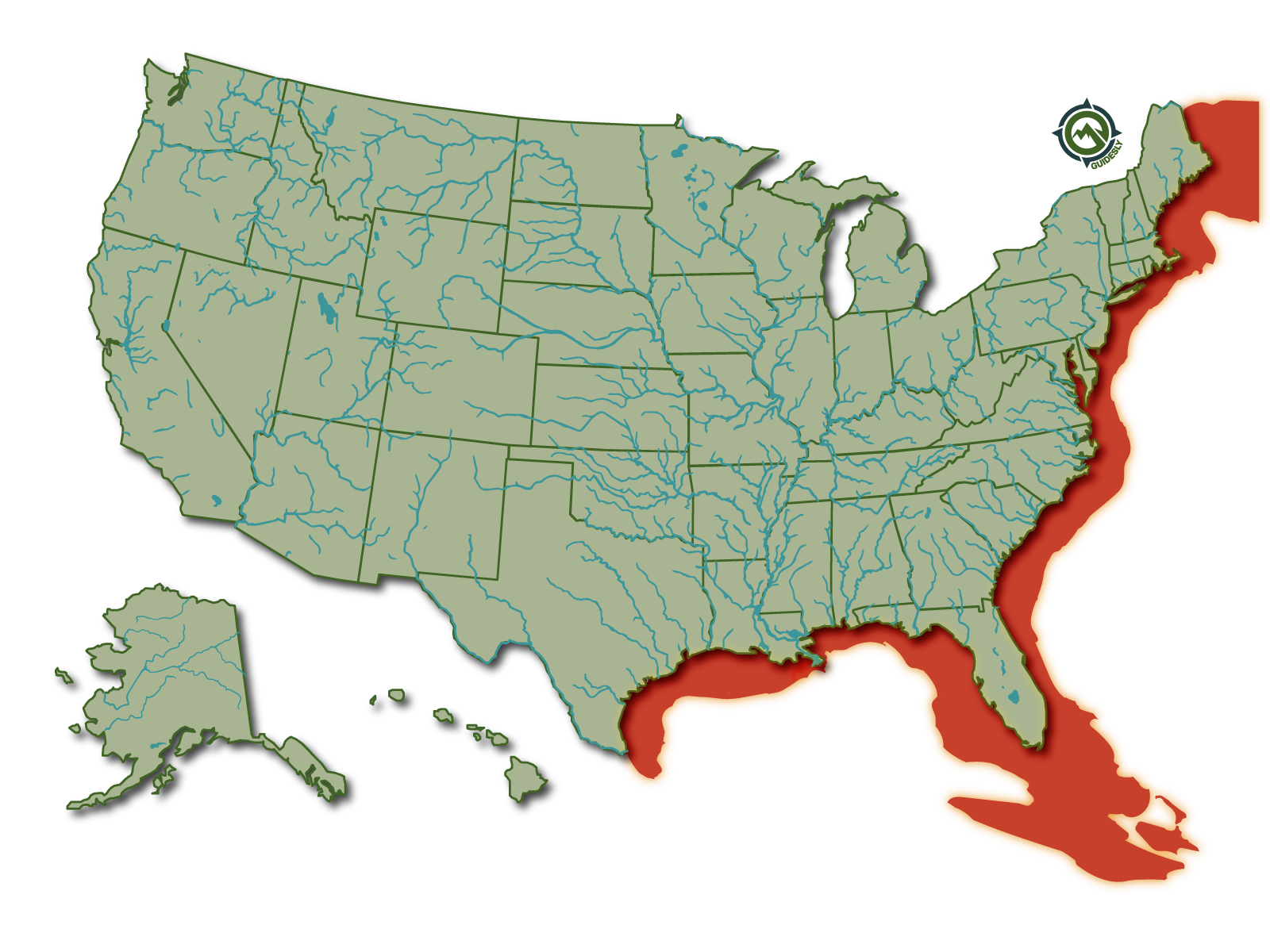 Learn about the Yellowfin